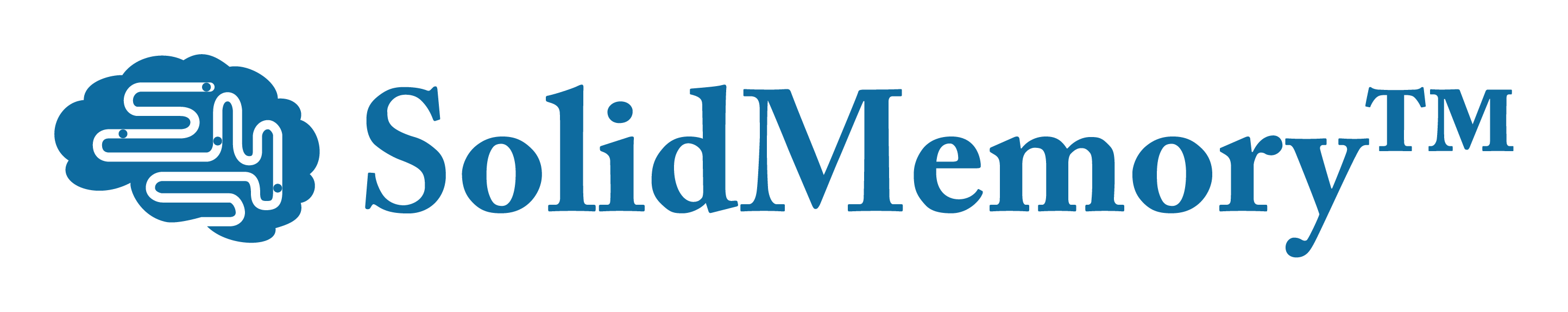 SolidMemory